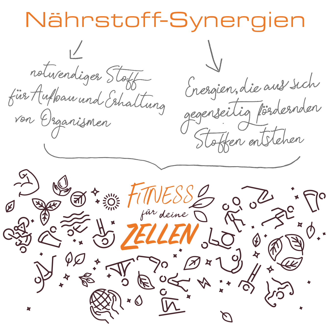 Über uns - Synergo